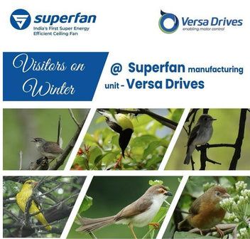 India's First BLDC Ceiling Fan | 5 Years Warranty – Superfan